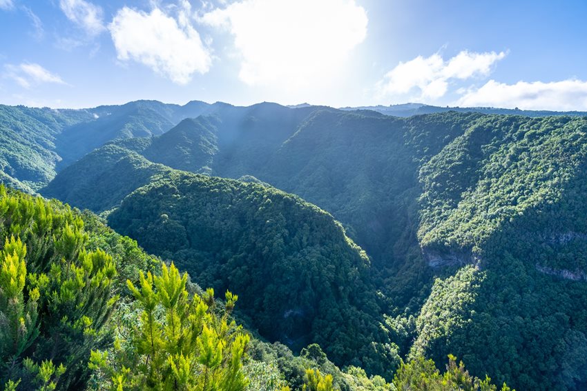 Cubo de La Galga - La Palma, Canary Islands | SeePlaces